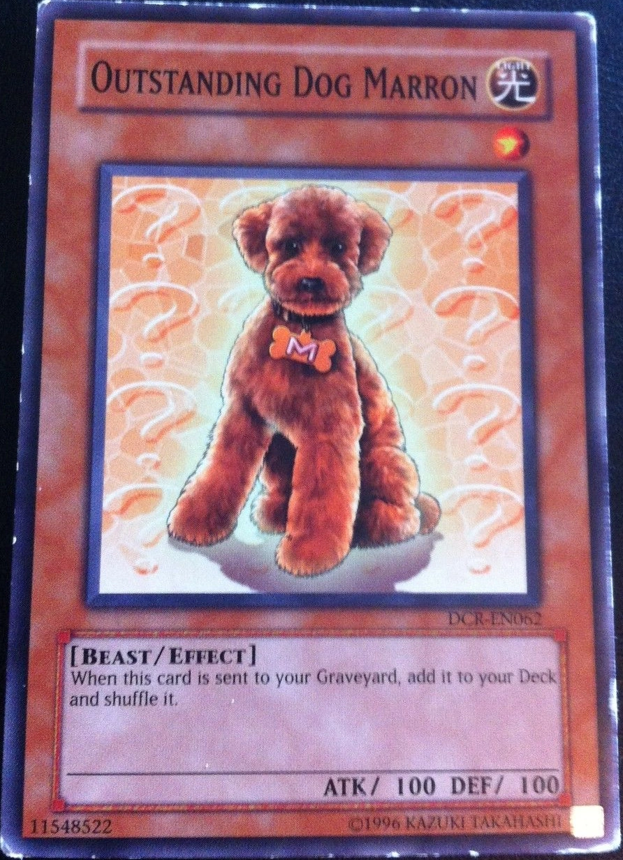 Card Gallery:Outstanding Dog Marron | Yu-Gi-Oh! | Fandom