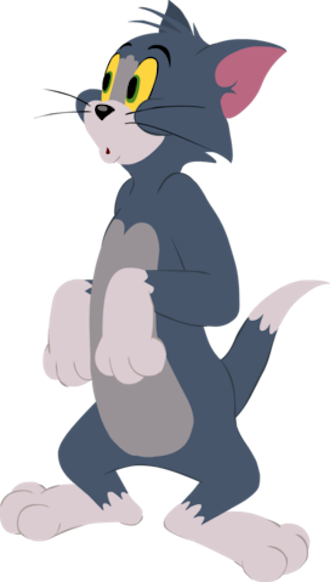 Tom The Cat Yunas Princess Adventure Wikia Fandom