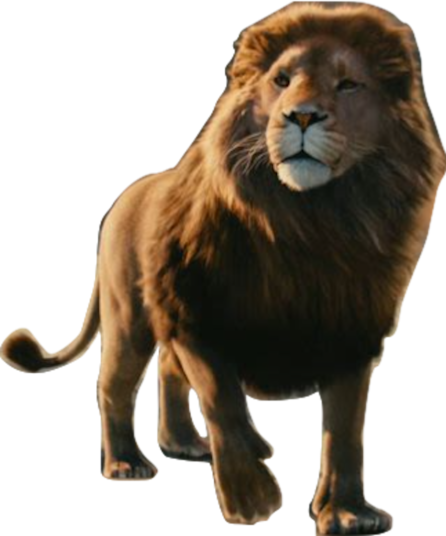 Aslan Yunas Princess Adventure Wikia Fandom