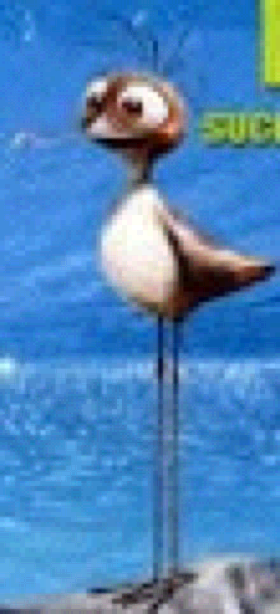 Mikey Abromowitz | Yuna's Princess adventure Wikia | Fandom