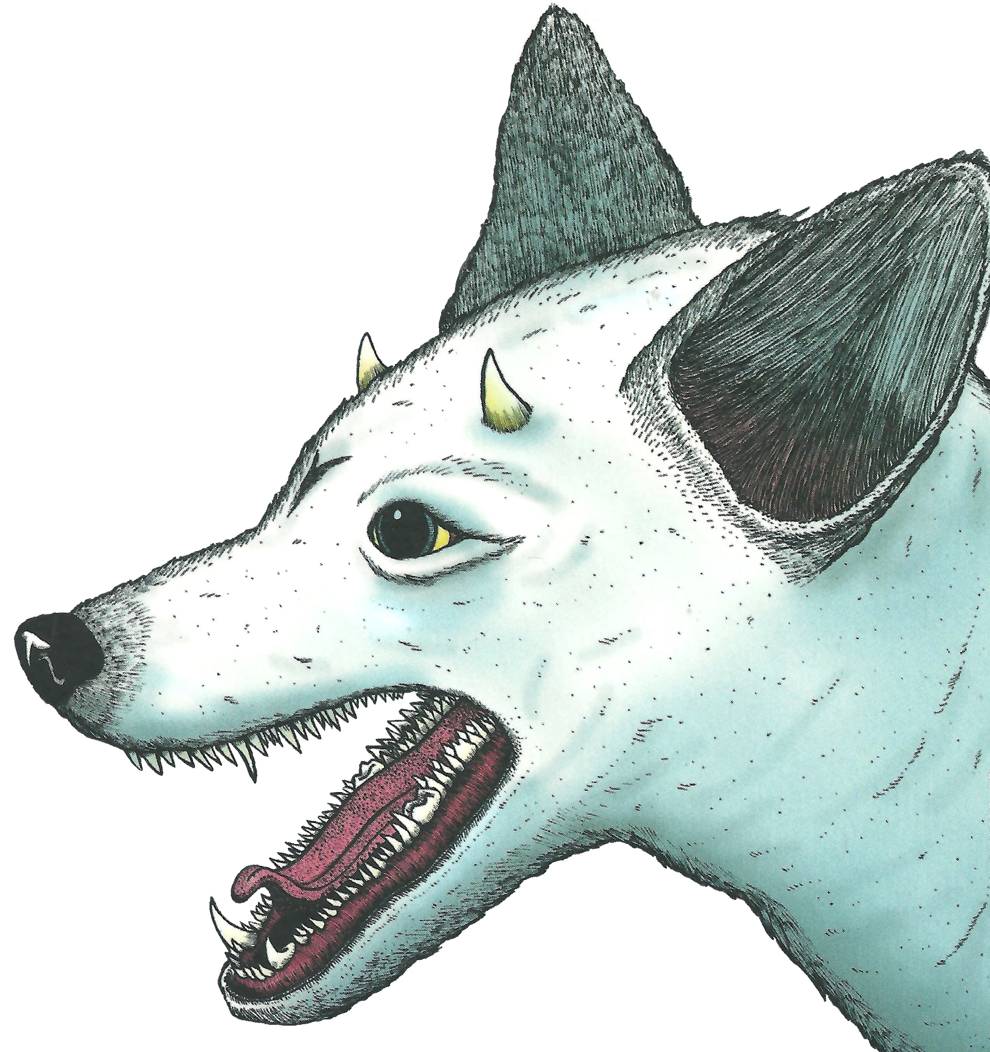 Rumo von Zamonien | Zamonien Wiki | FANDOM powered by Wikia