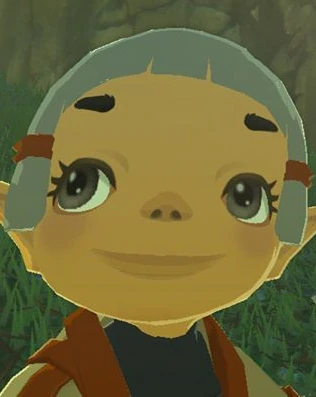 Koko | Zeldapedia | Fandom