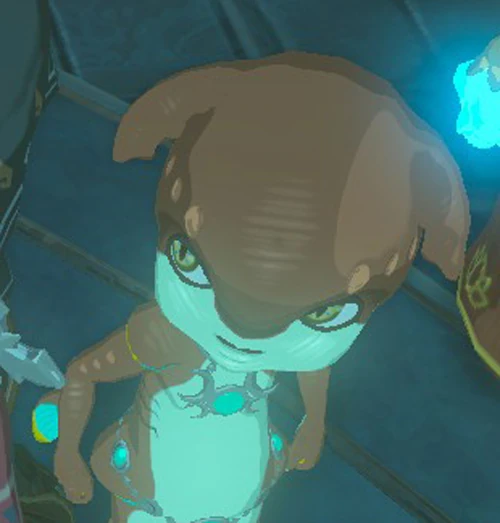 Rinley | The Legend of Zelda Wiki | Fandom