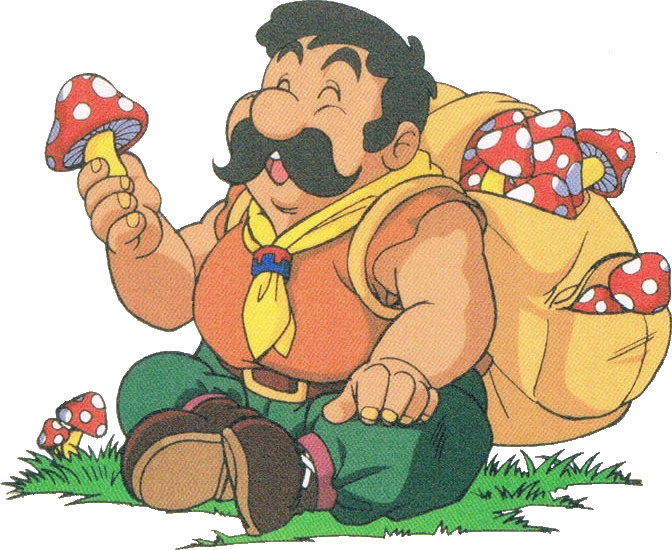 Tarin | Zeldapedia | Fandom