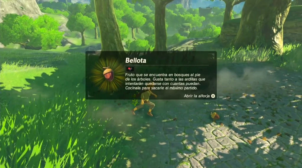 Bellota (material) | The Legend of Zelda Wiki | Fandom