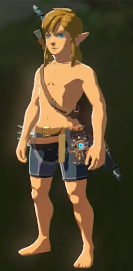 Image - Link sans Armure BOTW.png | ZeldaWiki | FANDOM powered by Wikia