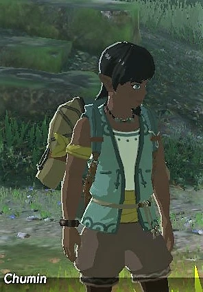 Chumin | Zeldapedia | Fandom