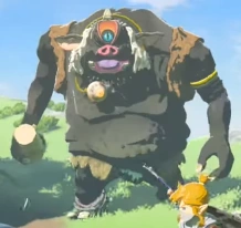 Black Hinox | Zeldapedia | Fandom