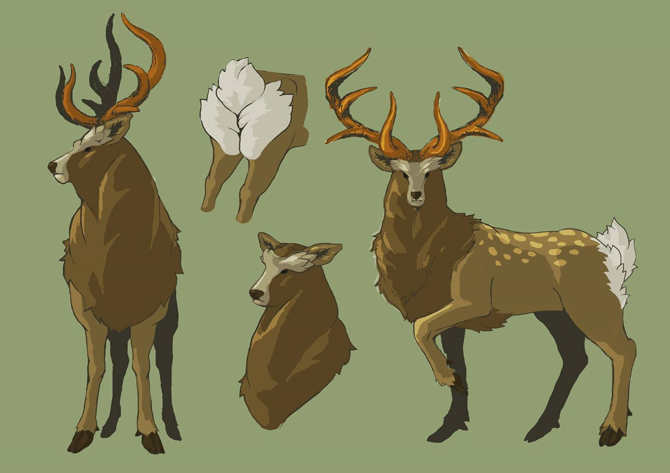 Deer | Zeldapedia | Fandom