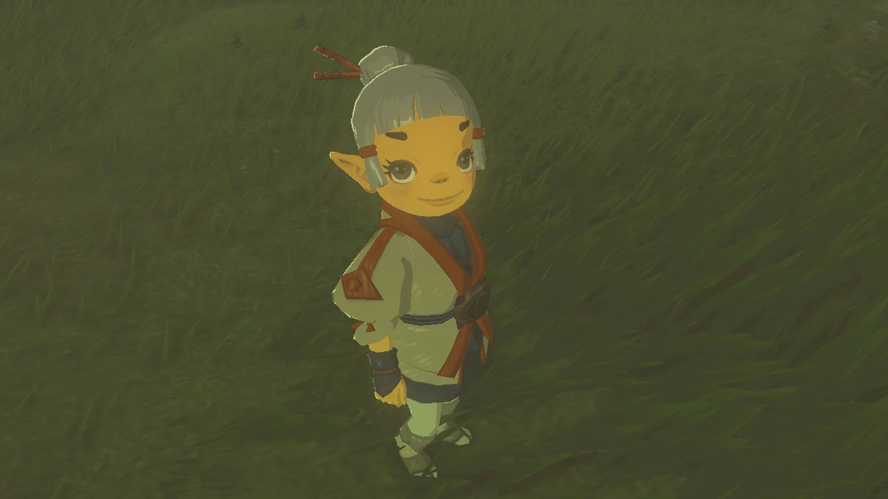 Koko | The Legend of Zelda Wiki | Fandom