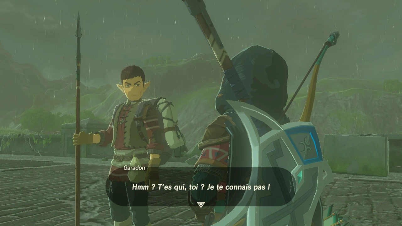 Garadon | ZeldaWiki | Fandom