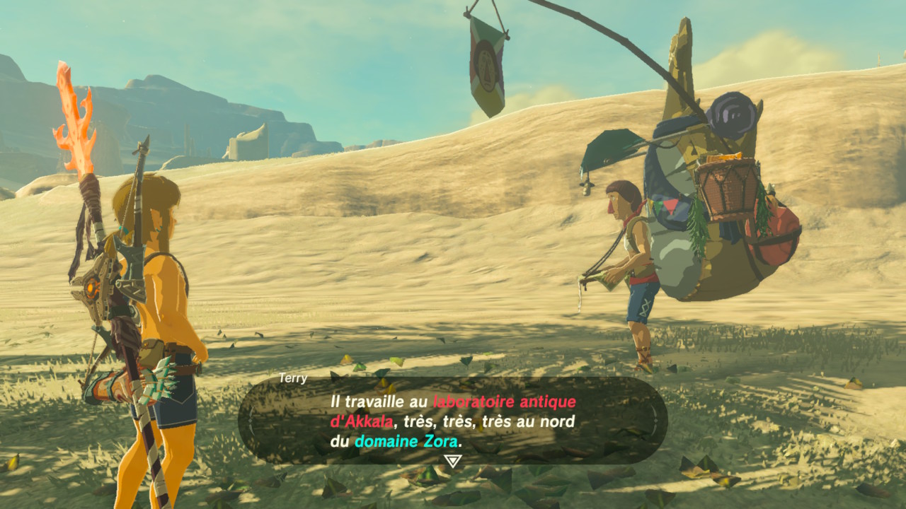 Image Terry Bazar Assek Botw Zeldawiki Fandom Powered By Wikia