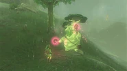 Hestu's Maracas | Zeldapedia | Fandom