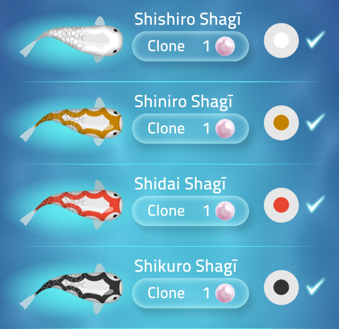 Shagī Koi | Zenkoi Wikia | Fandom