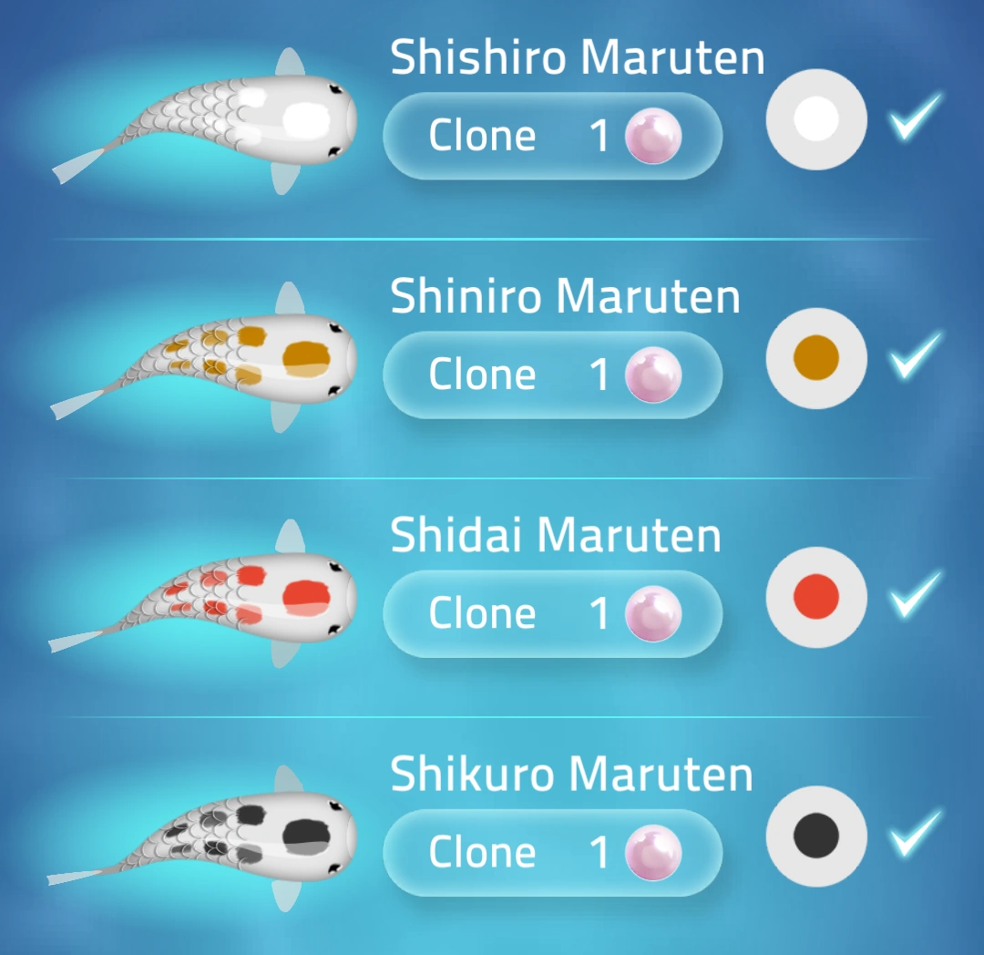 Maruten Koi | Zenkoi Wikia | Fandom