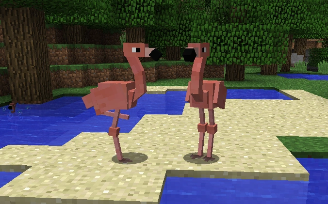 Flamingo | Zoo crafting modpack Wikia | Fandom