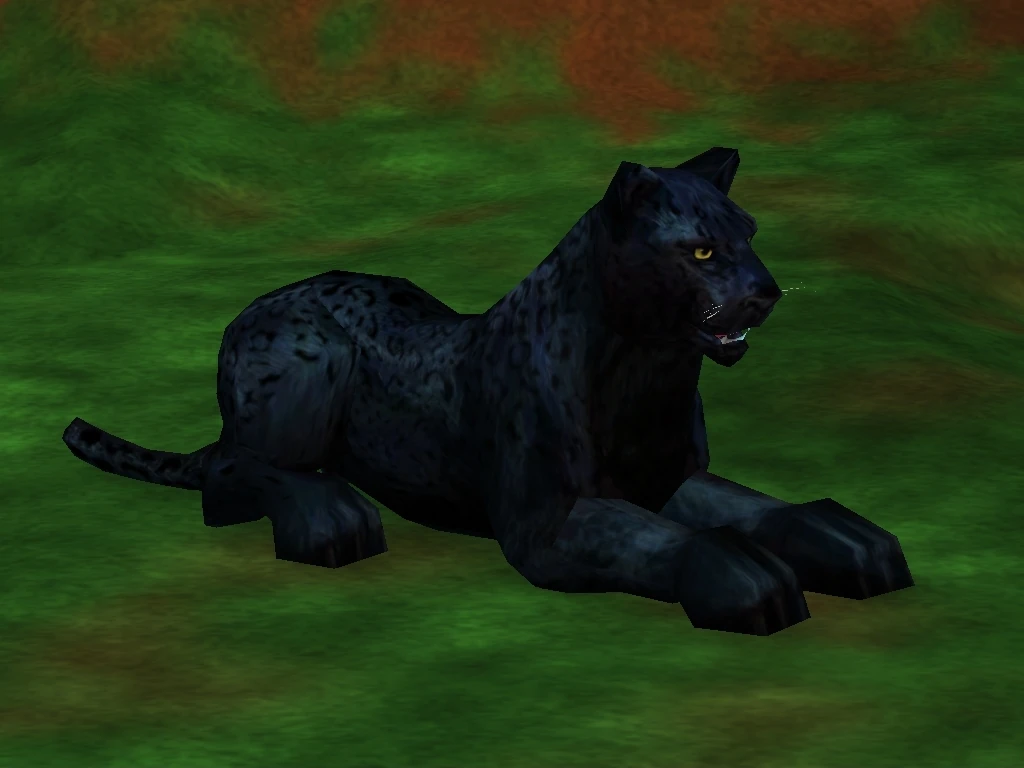 Black Leopard | Zoo Tycoon 2 Wikia | Fandom