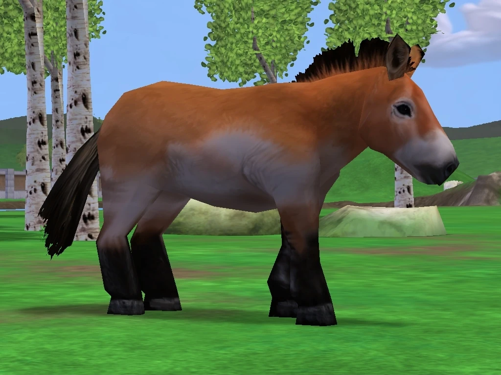 Przewalski's Wild Horse | Zoo Tycoon 2 Wikia | Fandom