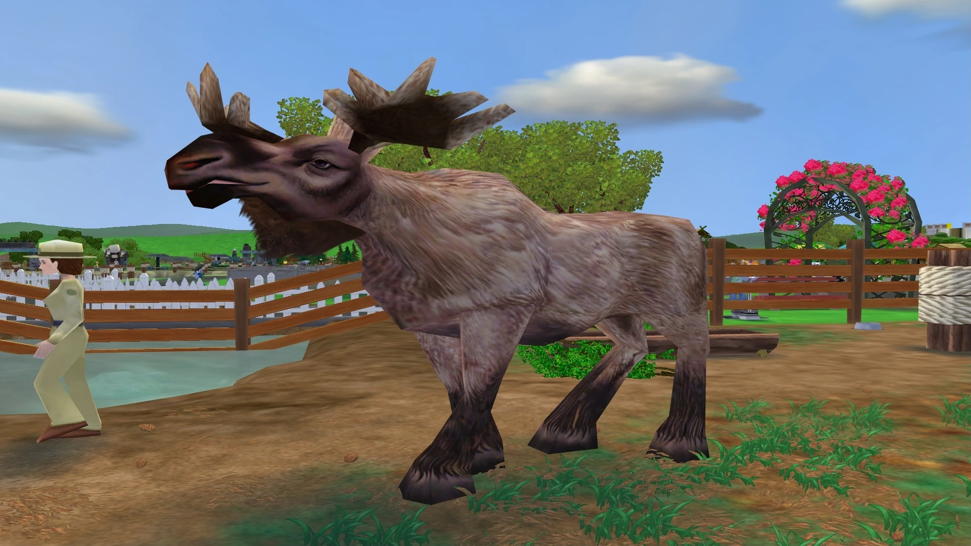 Moose | Zoo Tycoon 2 Wikia | Fandom