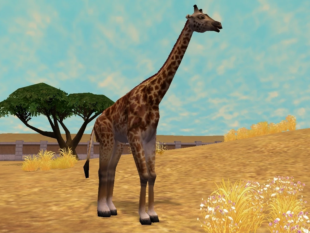 Masai Giraffe | Zoo Tycoon 2 Wikia | Fandom