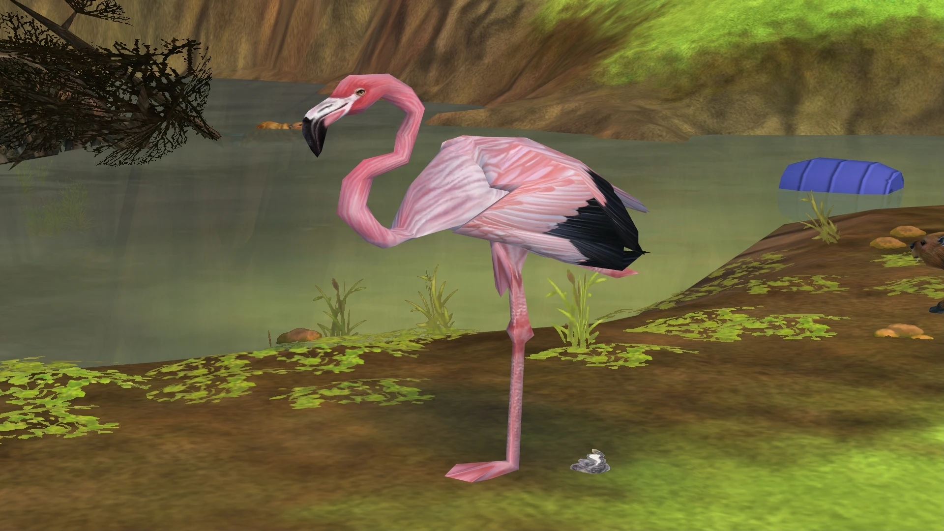 Greater Flamingo | Zoo Tycoon 2 Wikia | Fandom