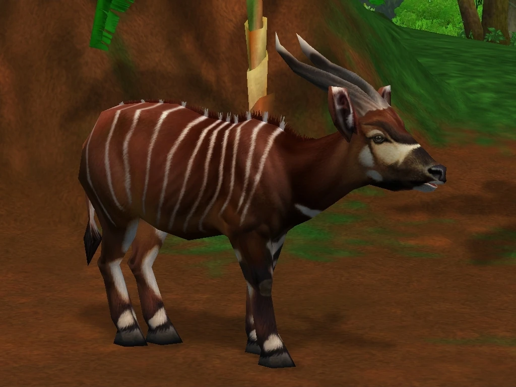 Bongo | Zoo Tycoon 2 Wikia | Fandom