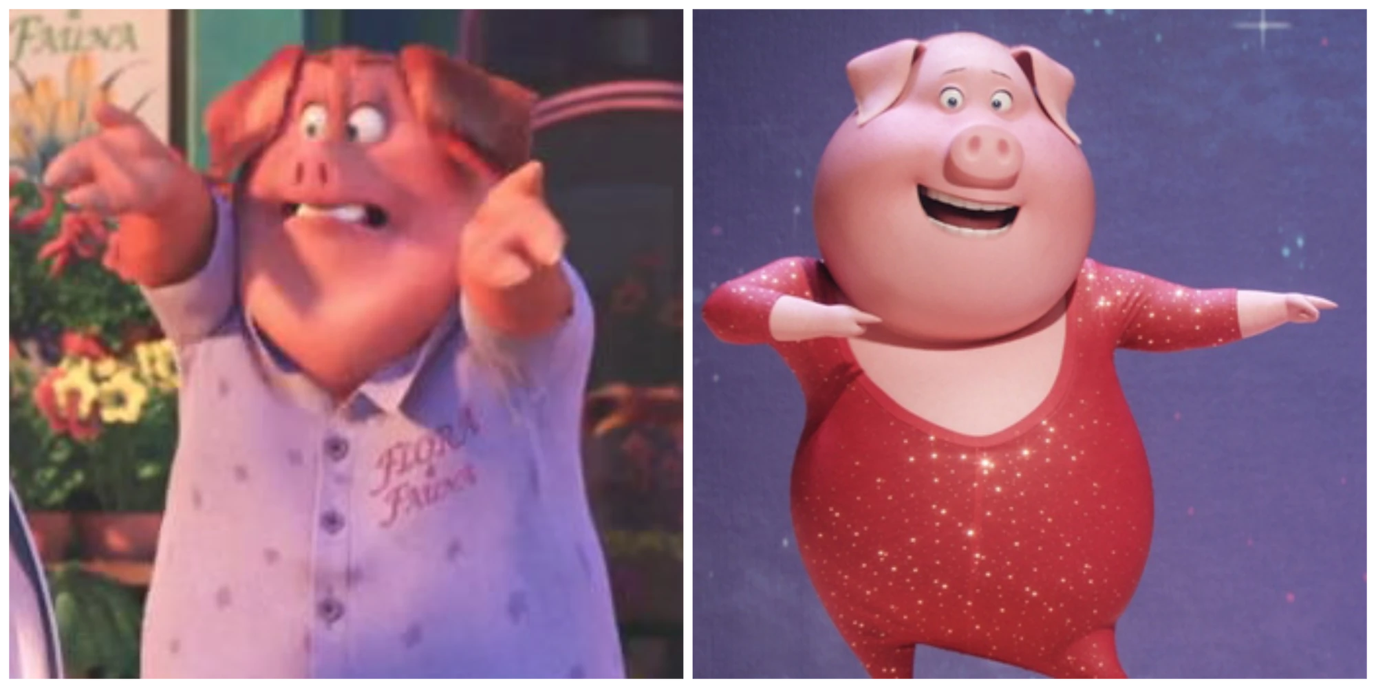 Image - Pig-collage.png | Zootopia Wiki | FANDOM powered by Wikia