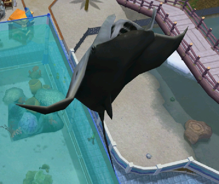 Category:Fish | Zoo Tycoon Wiki | FANDOM powered by Wikia