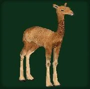 Aepycamelus | Zoo Tycoon Wiki | FANDOM powered by Wikia