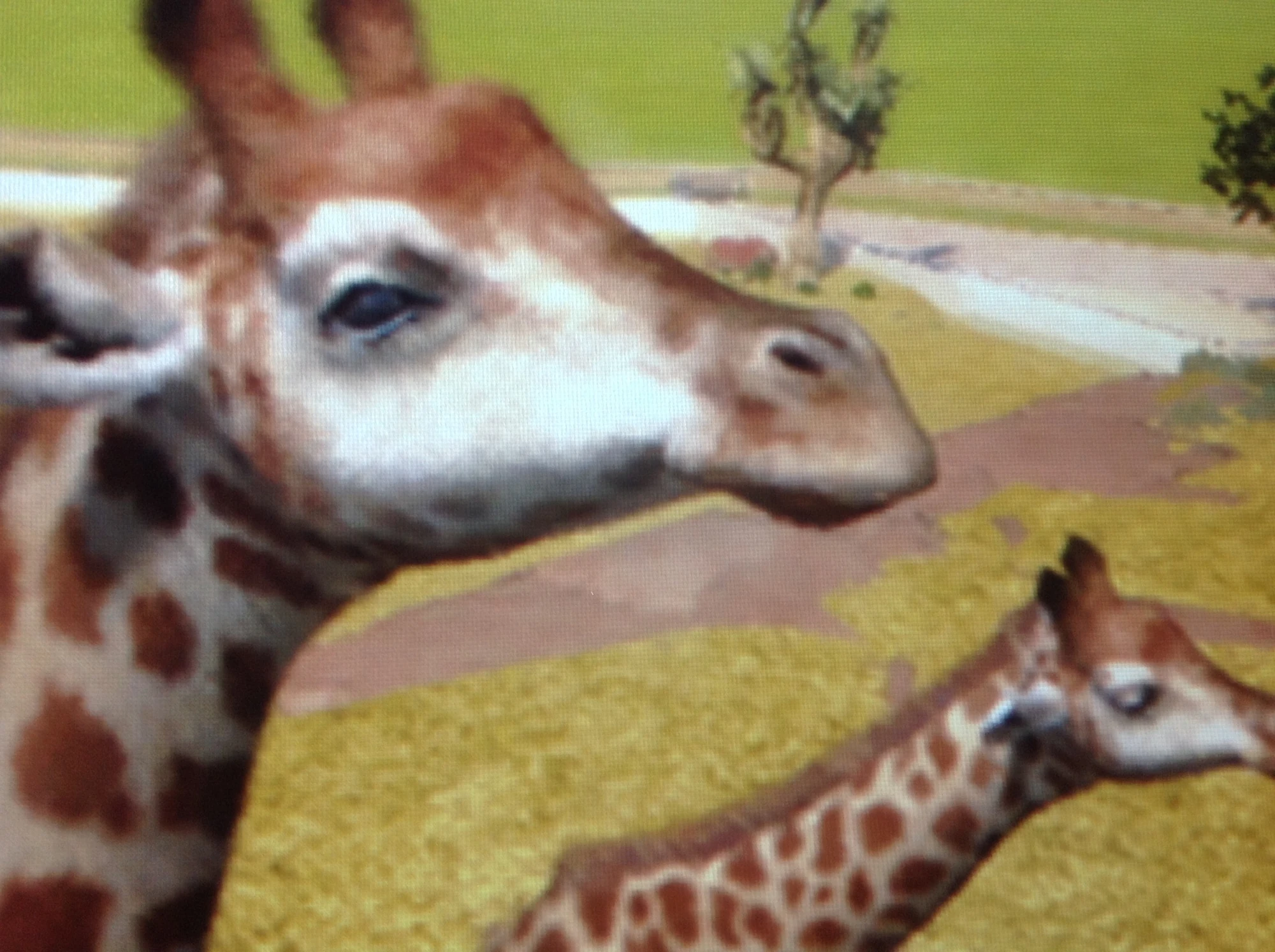 South African Giraffe | Zoo Tycoon Wiki | Fandom