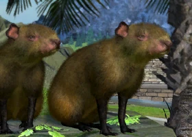 Ruatan Island Agouti | Zoo Tycoon Wiki | Fandom