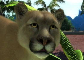 Costa Rican Cougar | Zoo Tycoon Wiki | Fandom