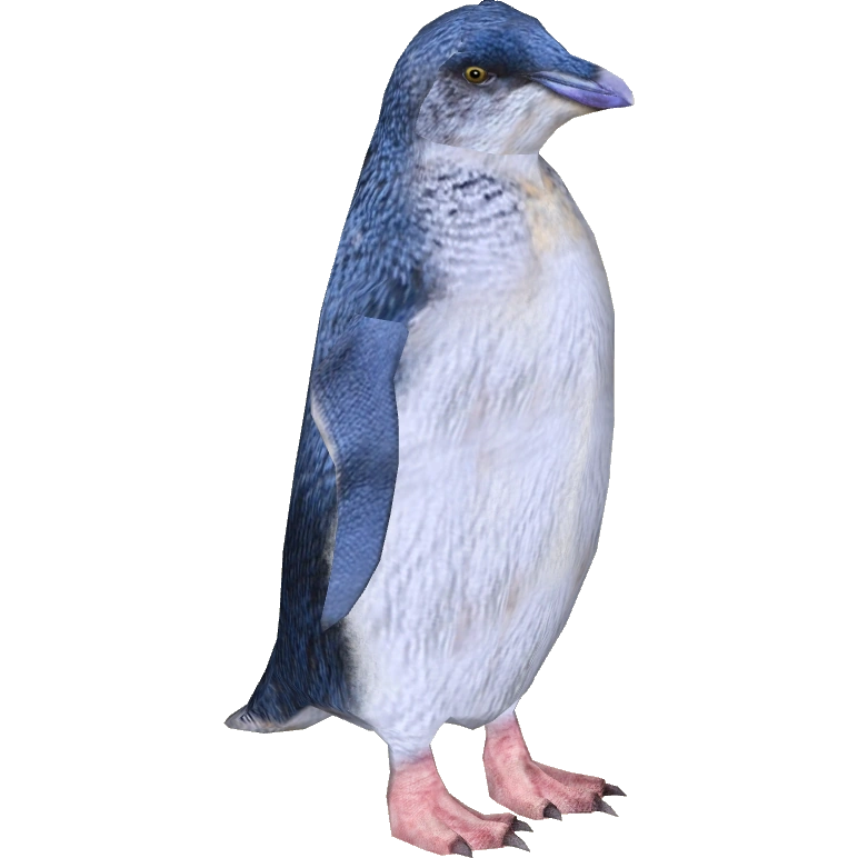 Fairy Blue Penguin (Tamara Henson) | ZT2 Download Library Wiki | Fandom