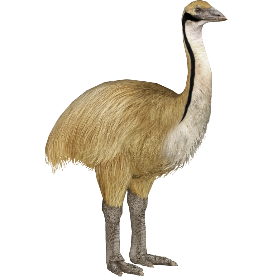 Elephant Bird (Lgcfm & Ulquiorra) | ZT2 Download Library Wiki | Fandom