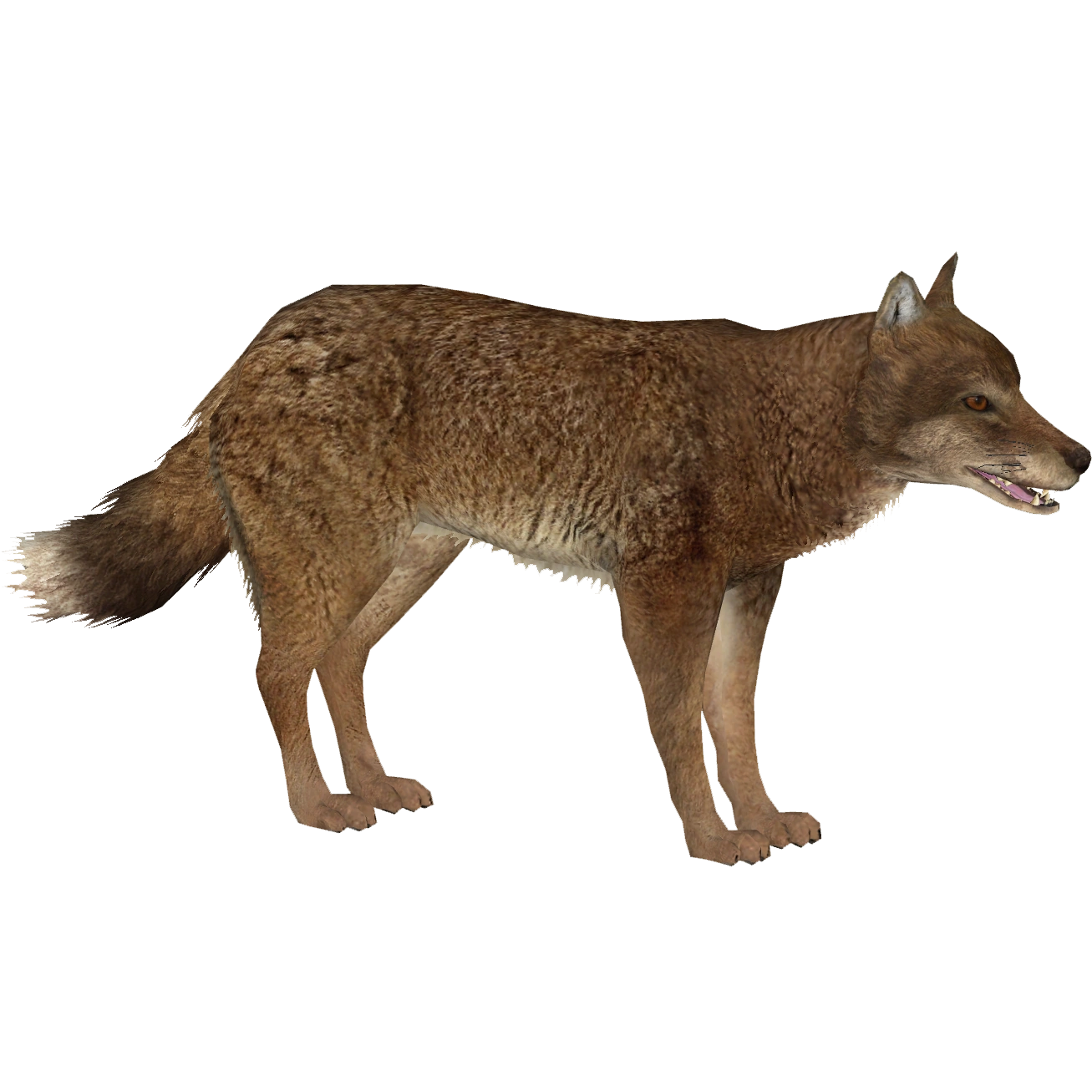 Warrah (Lgcfm & Ulquiorra) | ZT2 Download Library Wiki | Fandom