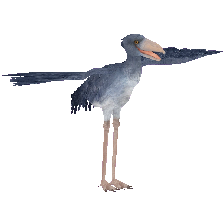 Shoebill (Holden) | ZT2 Download Library Wiki | Fandom