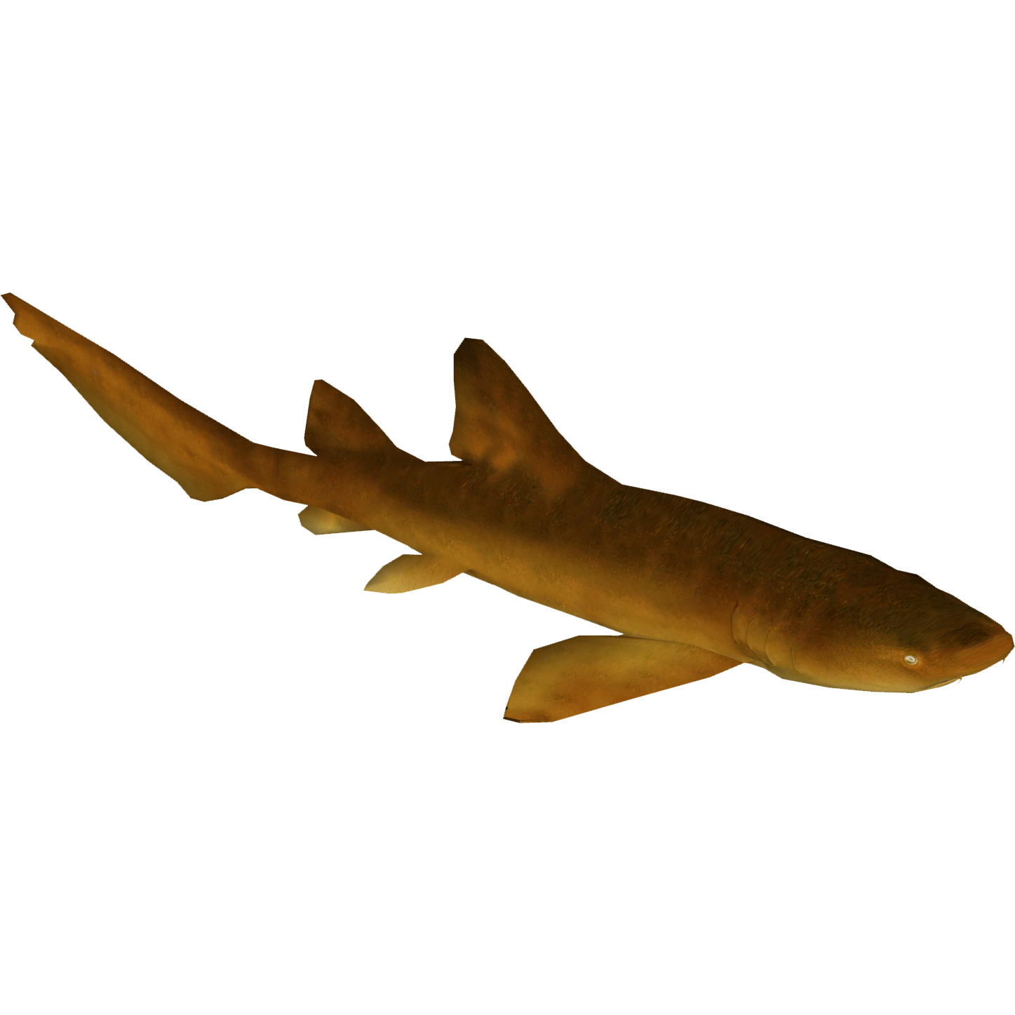 Tawny Nurse Shark Tamara Henson Zt2 Download Library Wiki Fandom