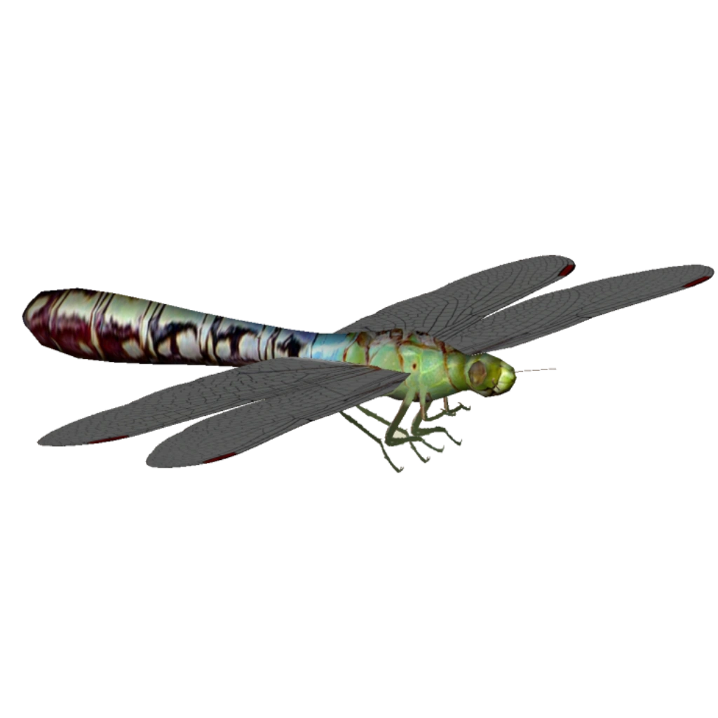 Ulquiorra's things - Page 101 - The ZT2 Round Table