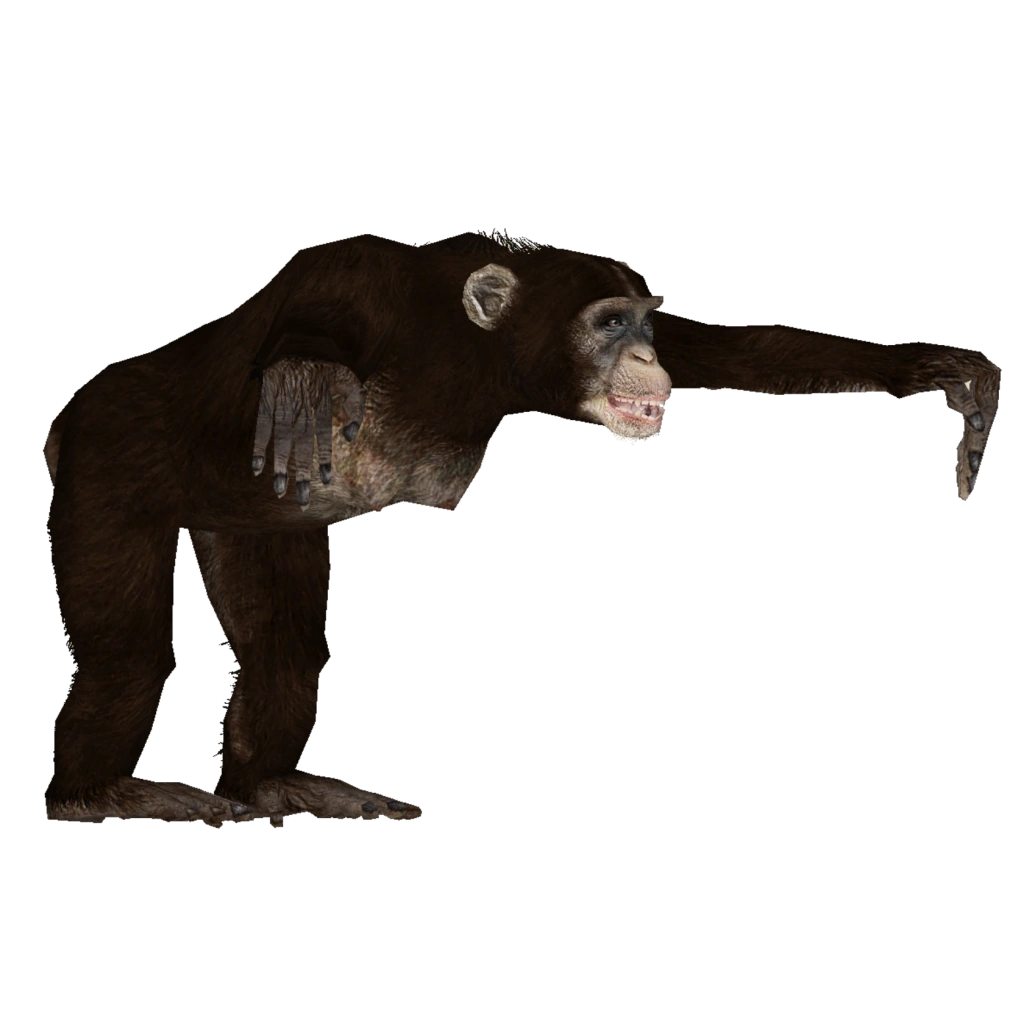 Australopithecus (Luca9108) | ZT2 Download Library Wiki | FANDOM ...