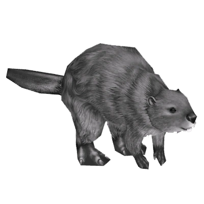 Grey Beaver (BRR) | ZT2 Download Library Wiki | Fandom