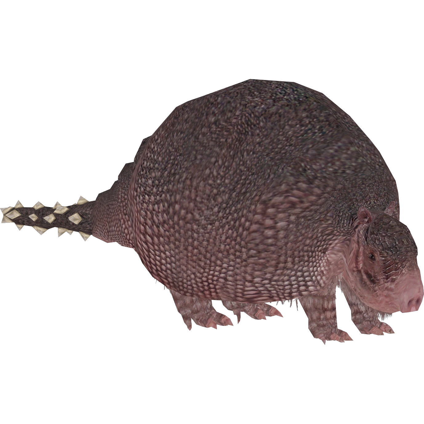 Panochthus (Demon Hunter) | ZT2 Download Library Wiki | Fandom