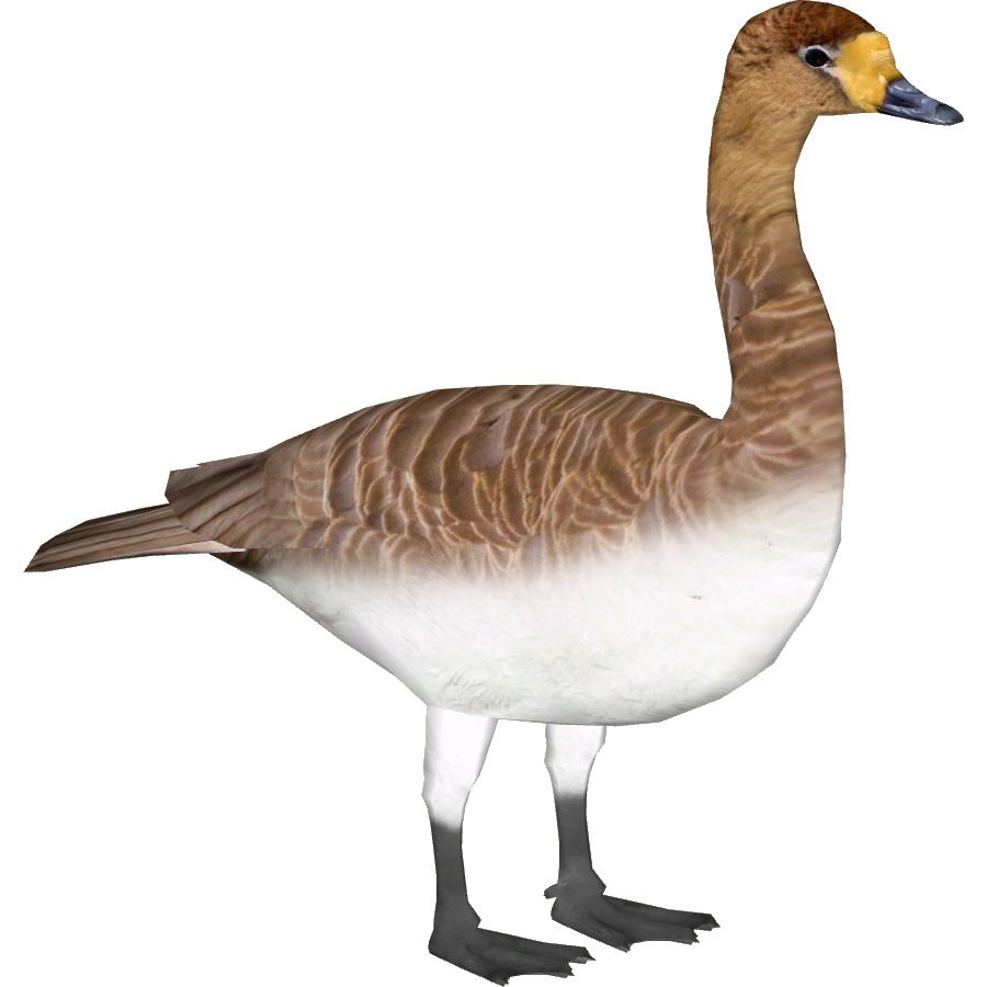 Giant Swan (Demon Hunter) | ZT2 Download Library Wiki | Fandom