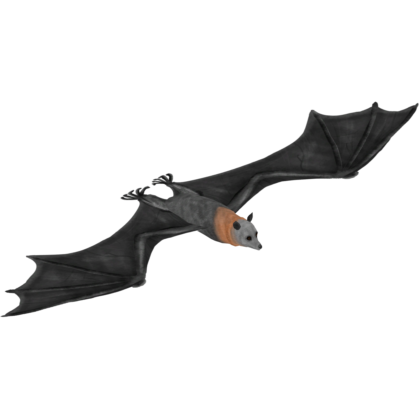 Grey-headed Flying Fox (LilyValley) | ZT2 Download Library Wiki | Fandom