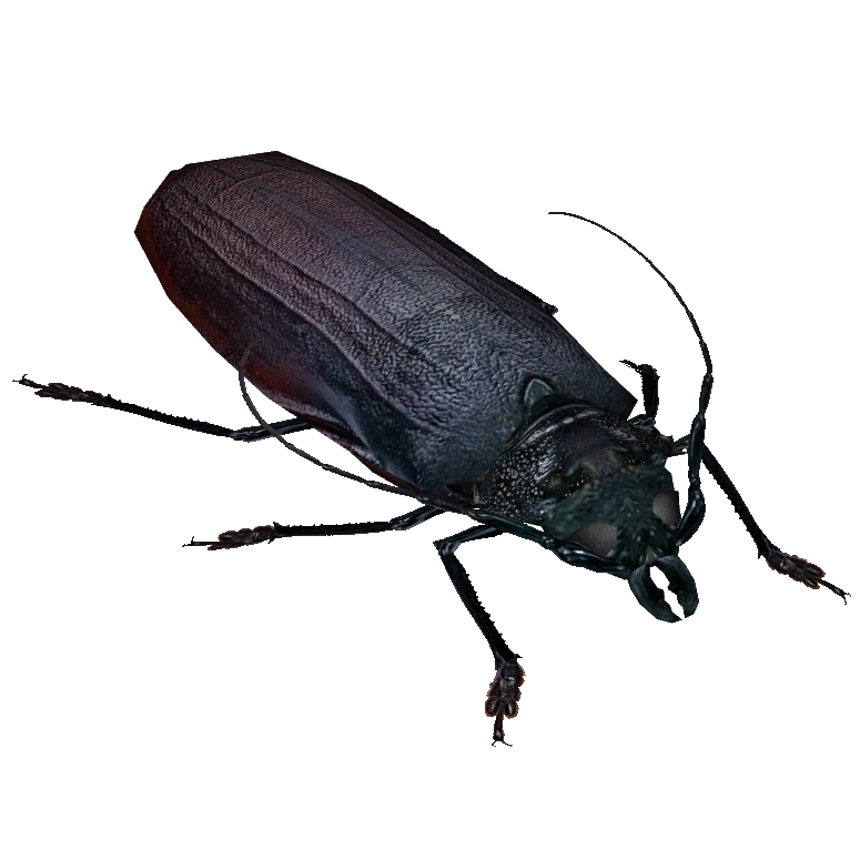 Ulquiorra's things - Page 101 - The ZT2 Round Table