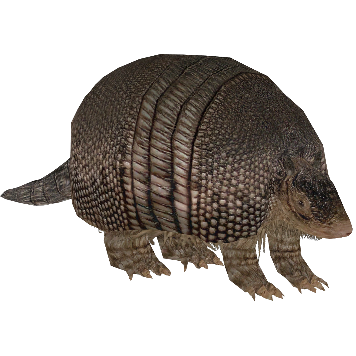 Pampatherium (Demon Hunter) | ZT2 Download Library Wiki | Fandom