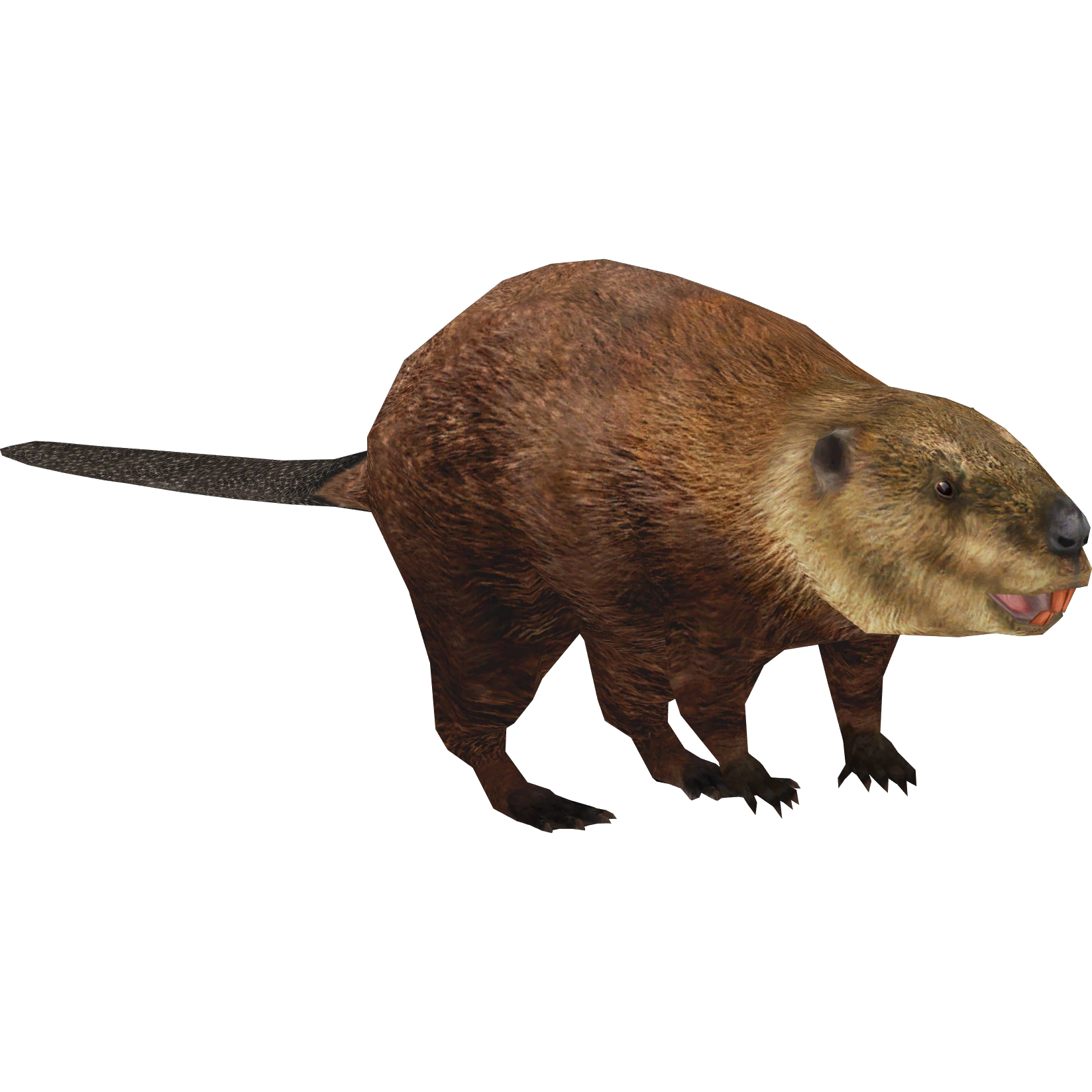 Castoroides (MonsterHunterGarth) | ZT2 Download Library Wiki | Fandom