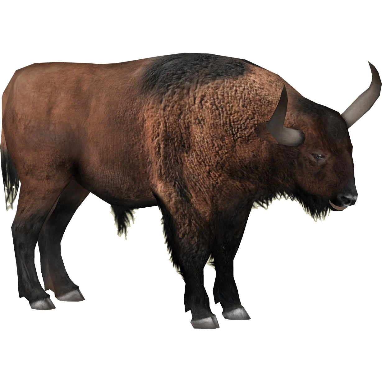 Steppe Bison (Doc118) | ZT2 Download Library Wiki | Fandom