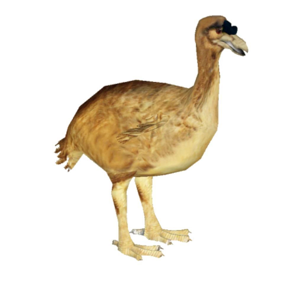 Rodrigues Solitaire (Ringo) | ZT2 Download Library Wiki | Fandom