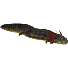 Timonya (Demon Hunter) | ZT2 Download Library Wiki | Fandom