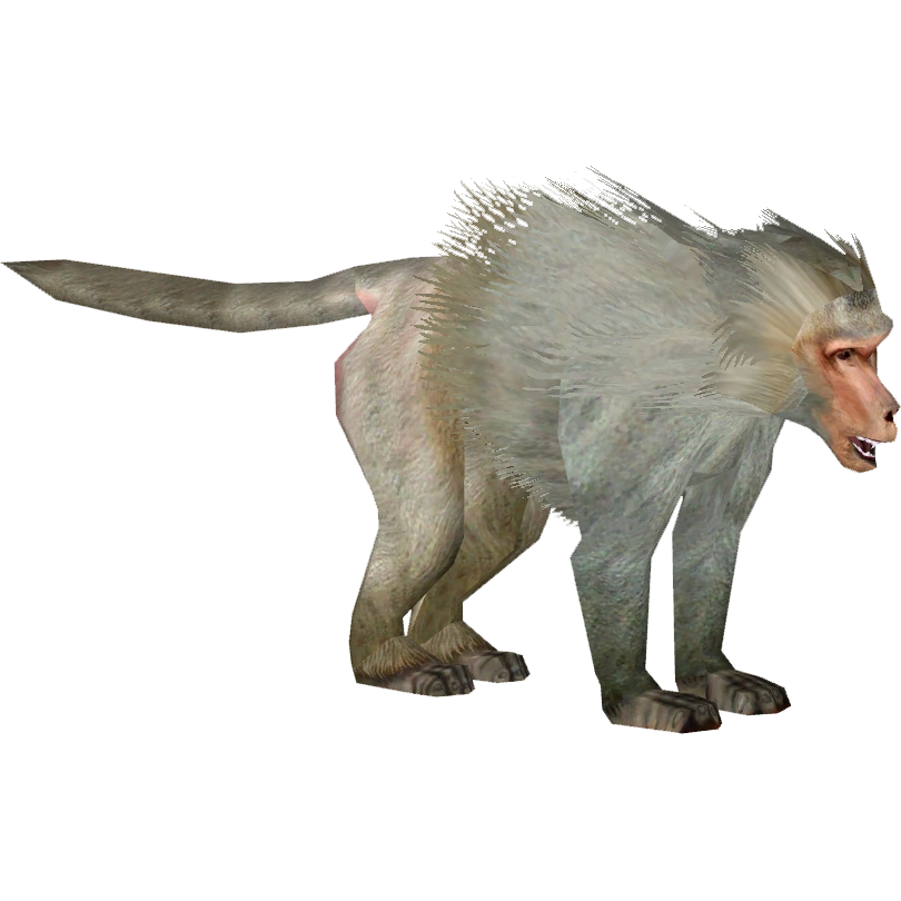 Hamadryas Baboon (Artifex) | ZT2 Download Library Wiki | Fandom